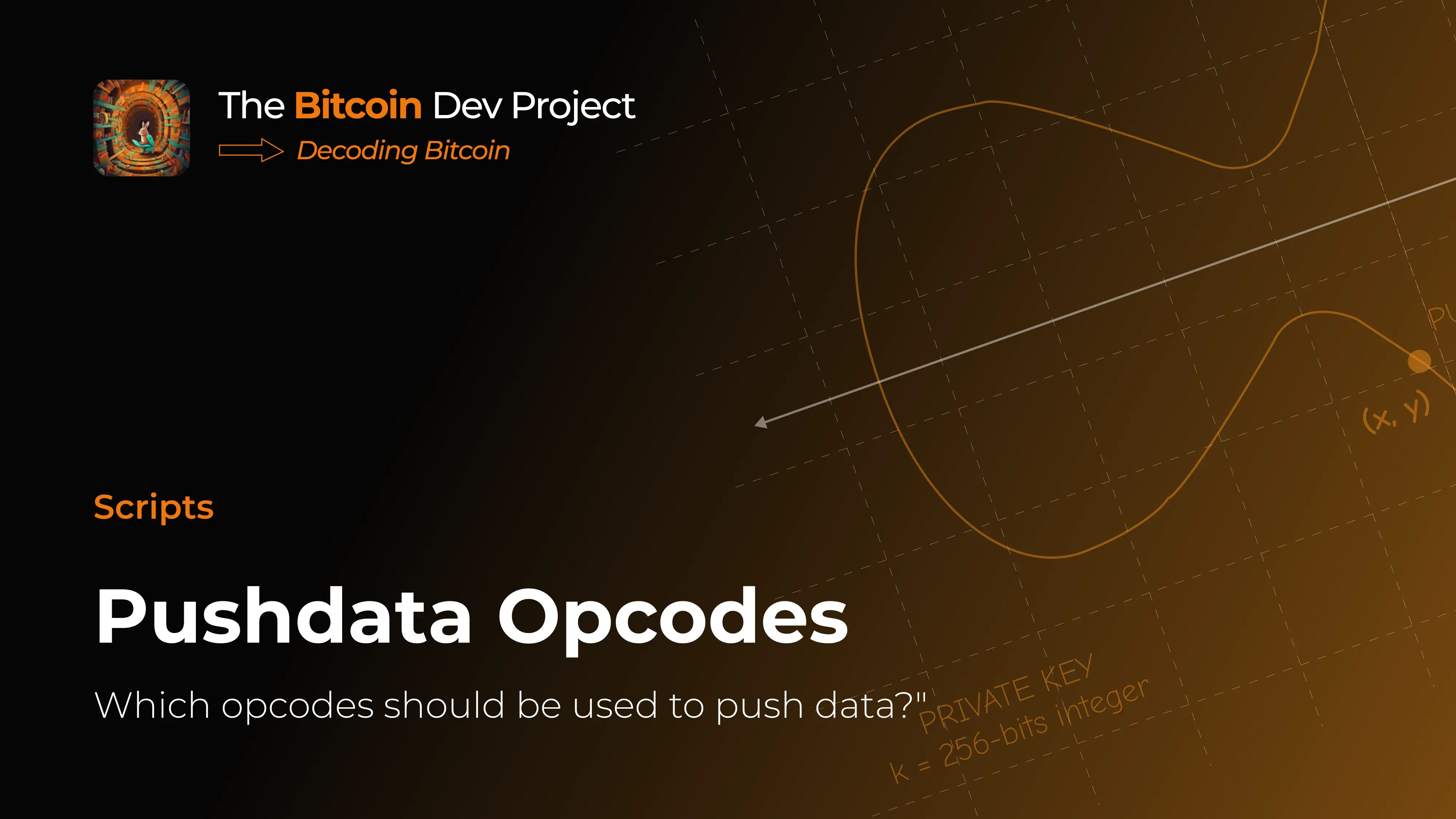PushData Opcodes | The Bitcoin Dev Project