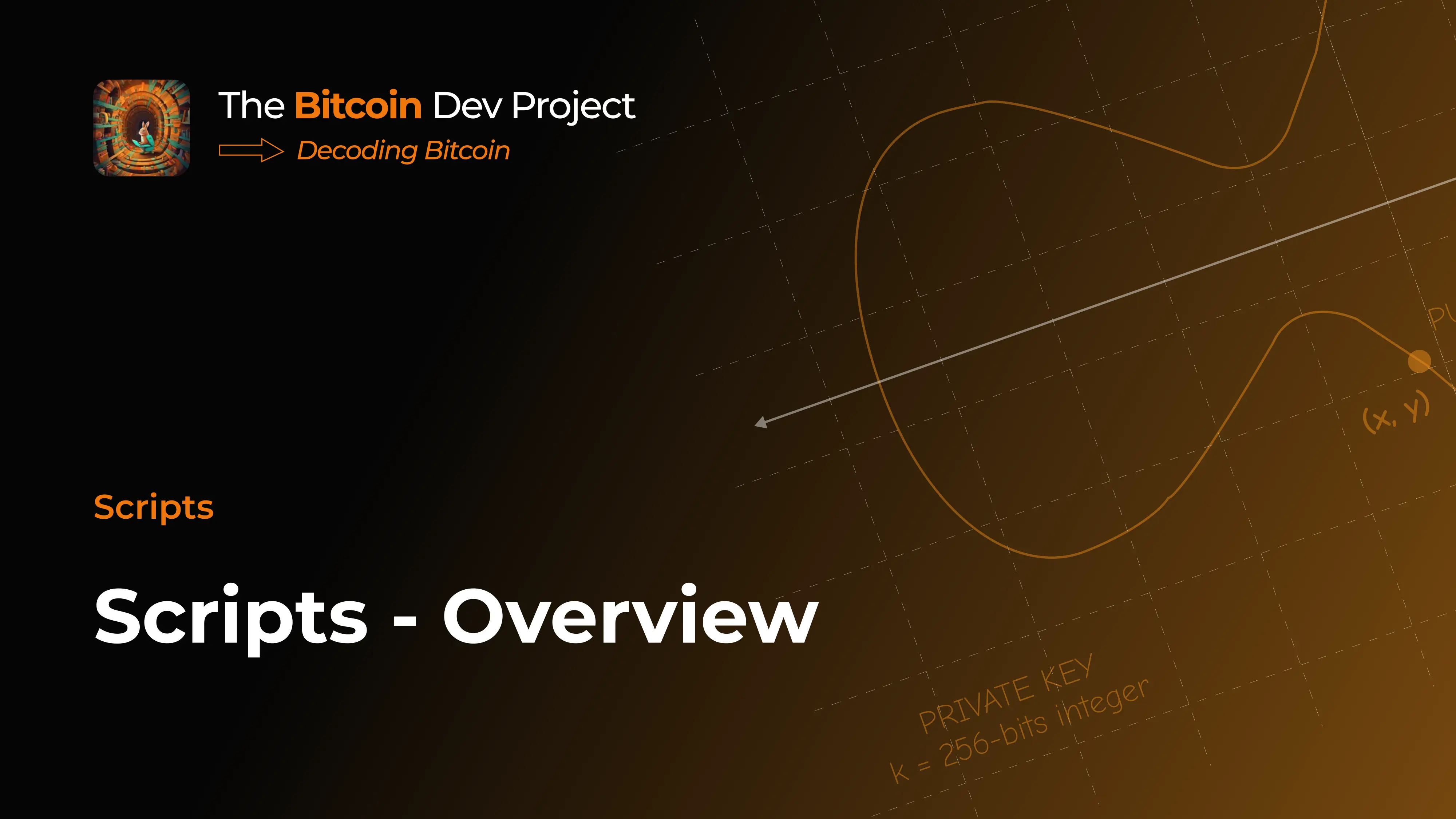 Overview | The Bitcoin Dev Project