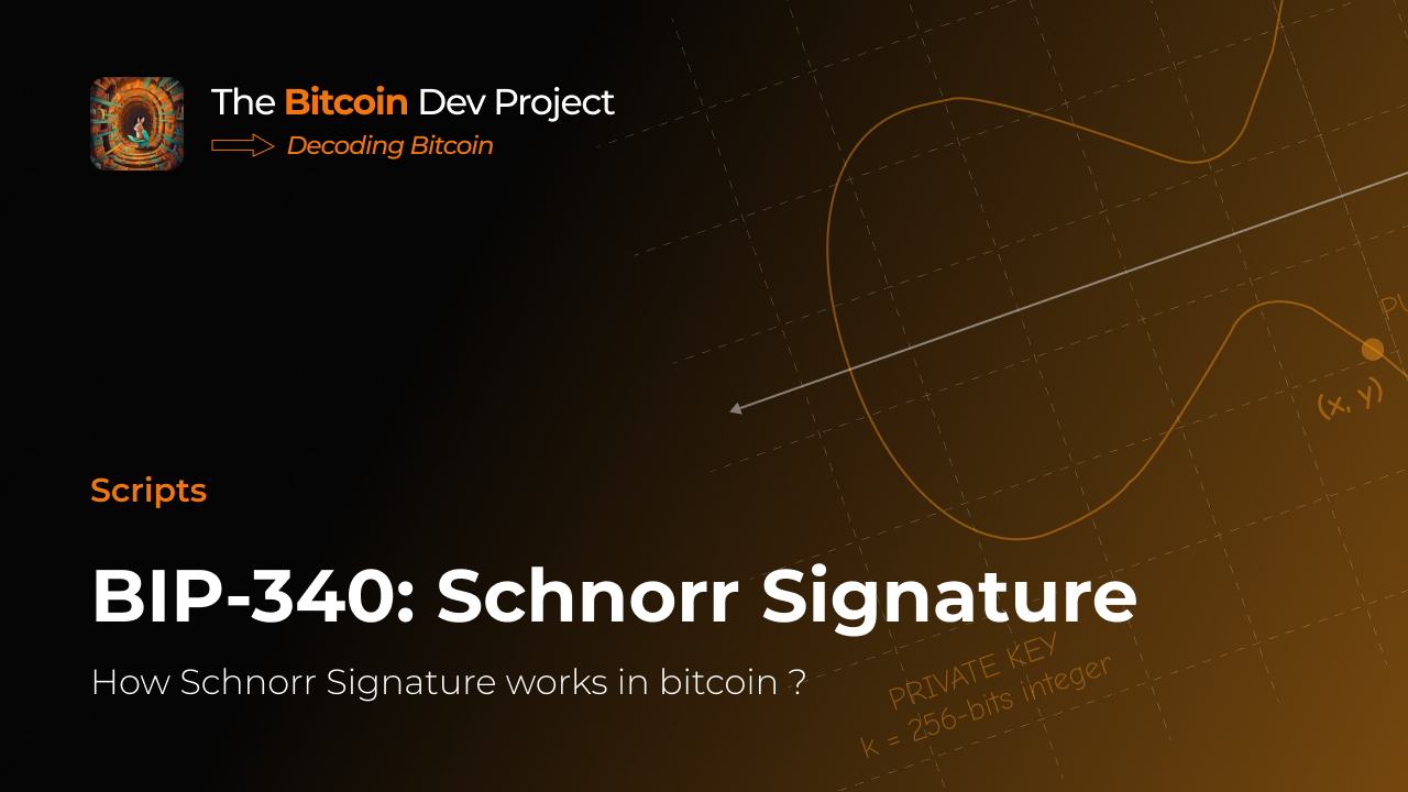 Schnorr Signature | The Bitcoin Dev Project