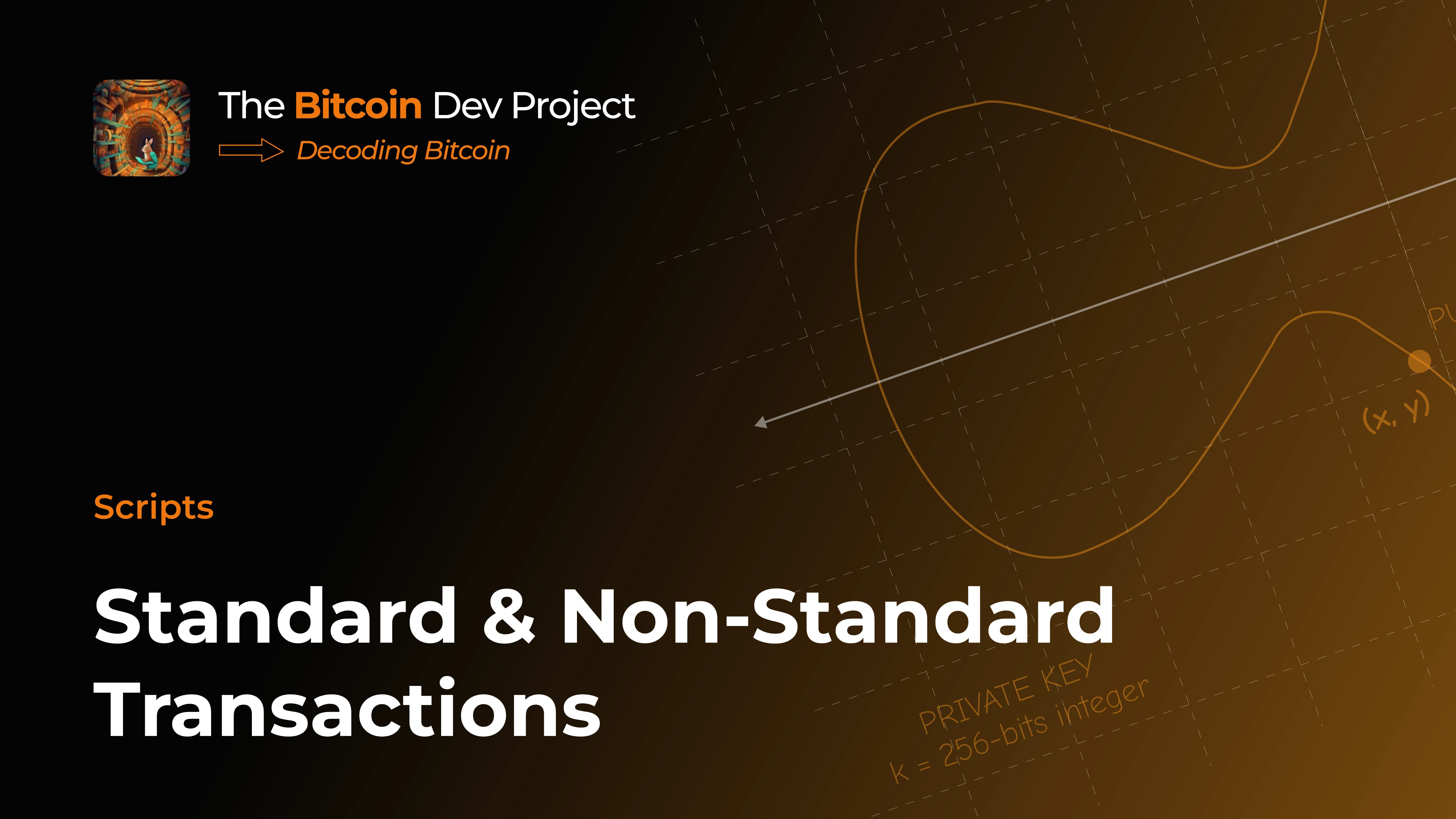Standard & Non-Standard | The Bitcoin Dev Project
