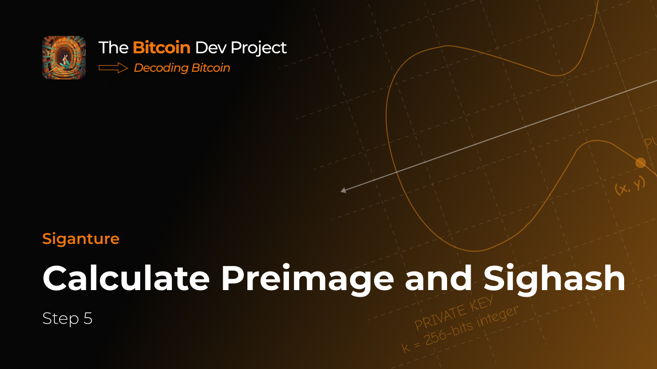 Step 5: Calculate Preimage and Sighash | The Bitcoin Dev Project