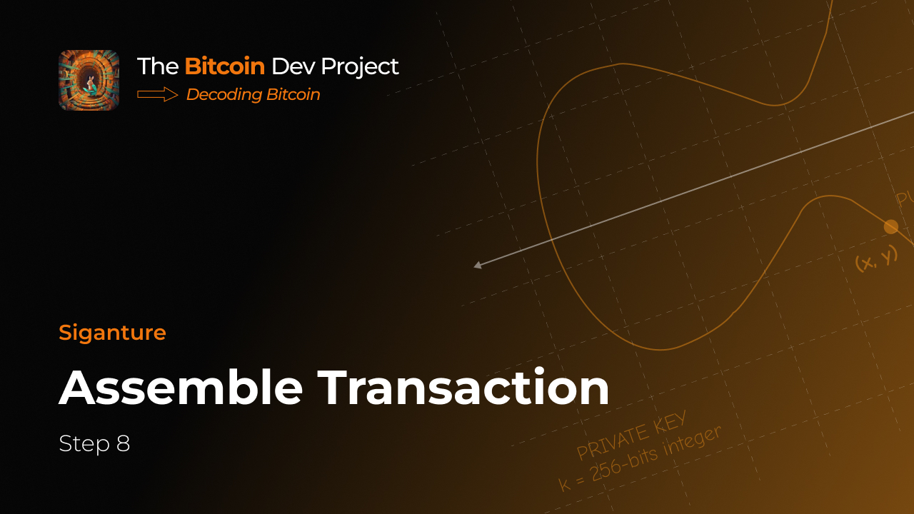 Step 8: Final Transaction Structure | The Bitcoin Dev Project