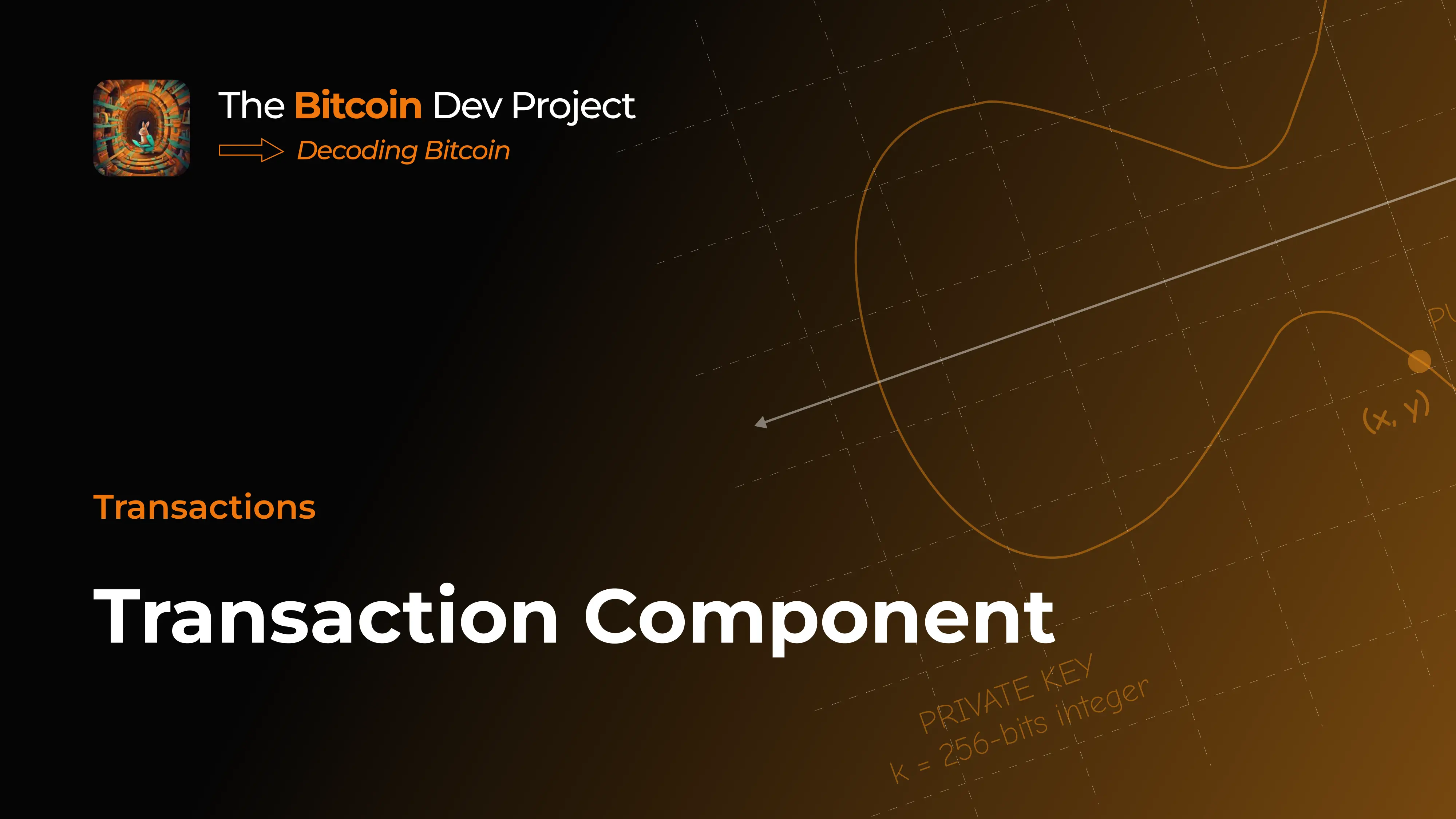 Transaction Structure The Bitcoin Dev Project