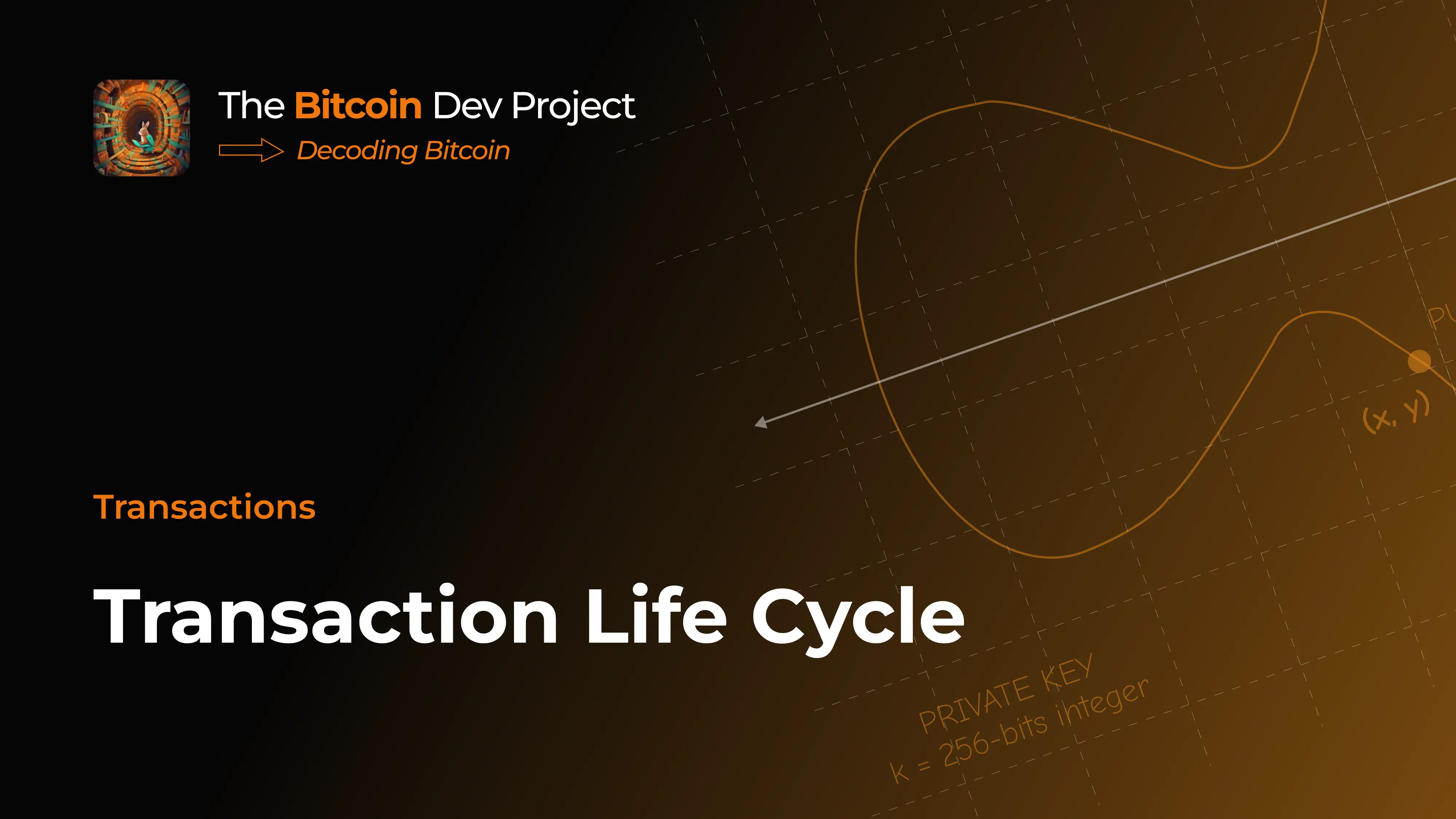 Transaction Lifecycle The Bitcoin Dev Project