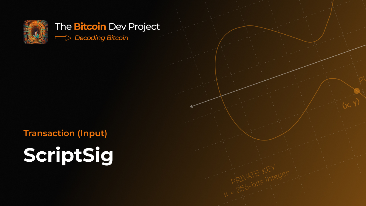 Inputs: ScriptSig | The Bitcoin Dev Project