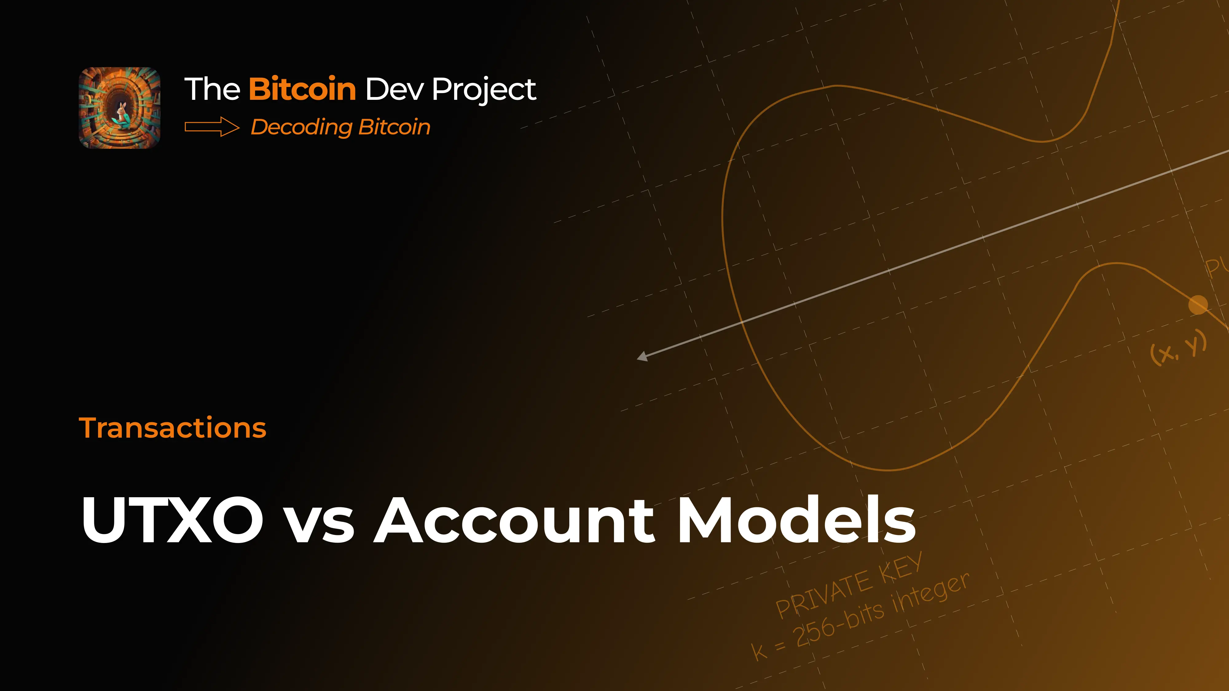 UTXO vs Account Models | The Bitcoin Dev Project